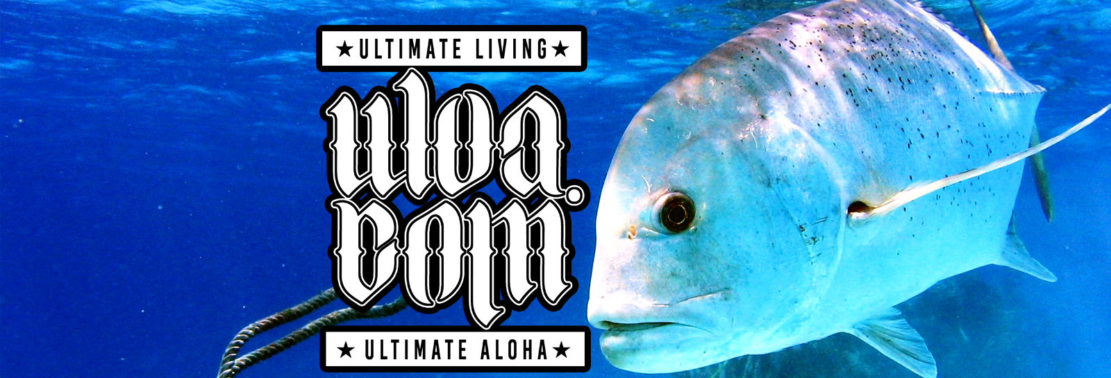 ULUA.COM - The Official ULUA Brand - Ultimate Living Ultimate Aloha